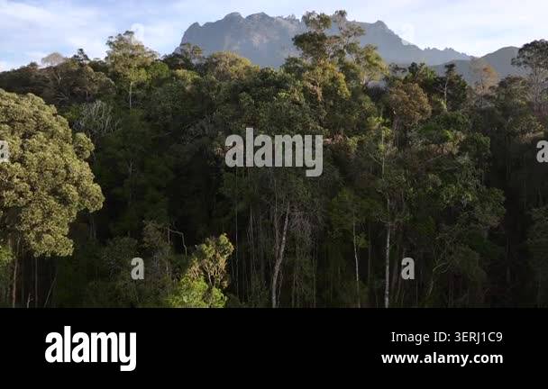 View of Mount Kinabalu surrounded by green hills and valleys in Sabah ...