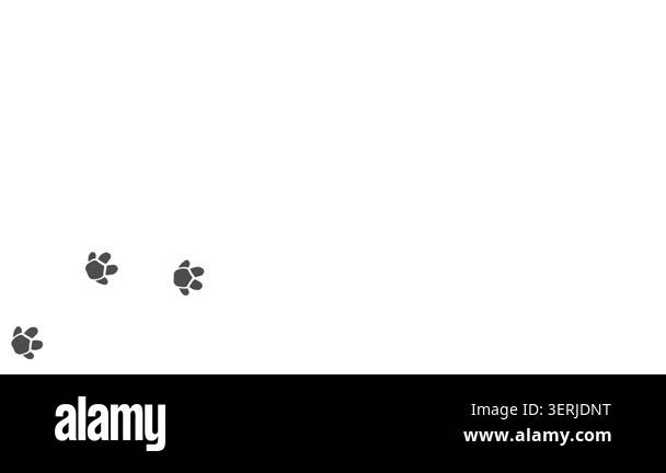 Animal paw prints. Footprints walking animal on a trajectory of ...
