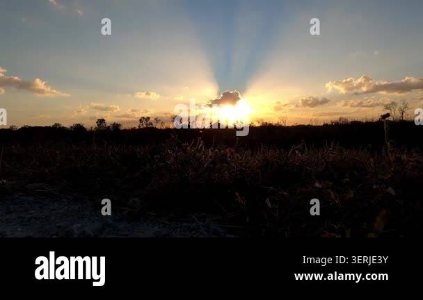beautiful sunset in the evening Stock Video Footage - Alamy