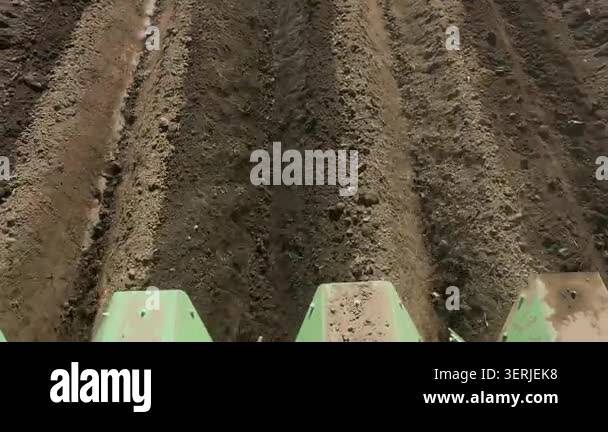 Close up view of freshly formed potato ridges and furrows on ...