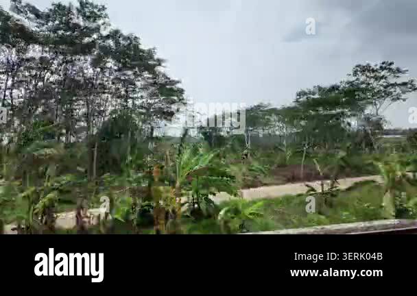 Train ride through landscapes on Java Island Stock Video Footage - Alamy