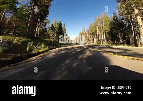 Lake Tahoe Echo Lake to Phillips Highway 04 Rear View Driving Plates of ...
