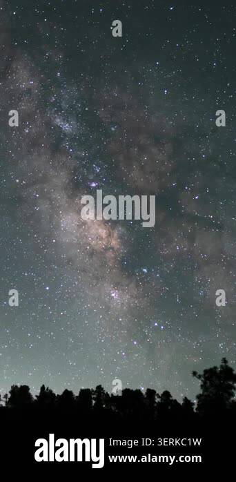 Vertical Shot of Milky Way Galaxy in Southeast Sky Over Forest ...