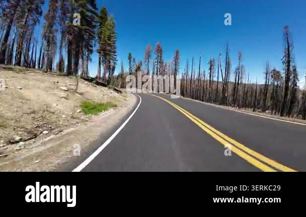 Lassen Volcanic Wildfire Damage Area Rear View 03 Driving Plates of ...