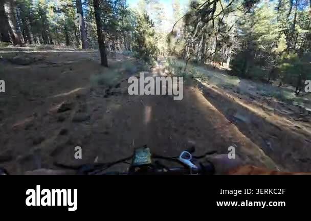 Mountain Bike POV Shot of McGill Trail Downhill McGill Camp 2 Los ...