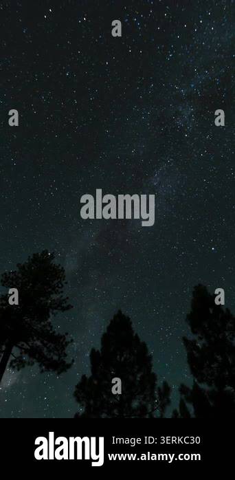 Vertical Shot of Milky Way Galaxy in Southwest Sky Over Mountain Trees ...
