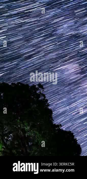 Vertical Shot of Star Trails Stargazing in Southeast Sky Above Forest ...