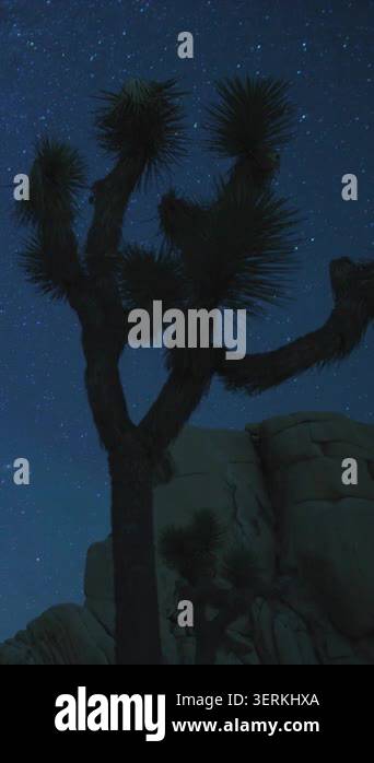 Vertical Shot of Joshua Tree National Park Milky Way Galaxy Over Rock ...