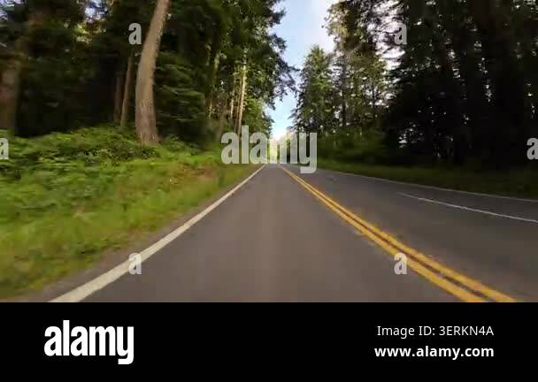 Foggy Coastal Highway 05 Rear View 101 Northbound Driving Plates of ...
