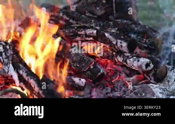 The process of raking coals in a bonfire with a metal shovel. Close-up ...