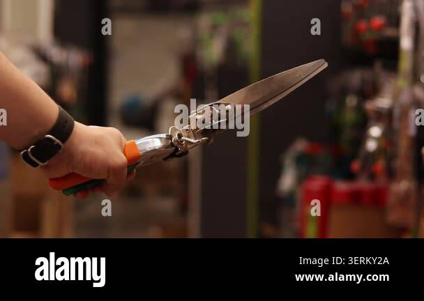 Hand holding professional garden pruner on blurred background of store ...