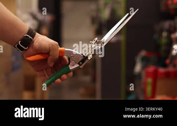 Hand holding professional garden pruner on blurred background of store ...