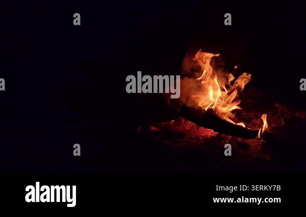 Bonfire at night on a dark background. Bright flame of a bonfire ...