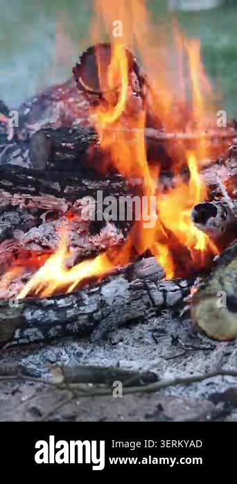 The process of burning wood. Close-up of a campfire with bright flames ...