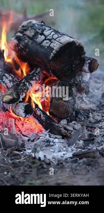 The process of burning wood. Close-up of a campfire with bright flames ...