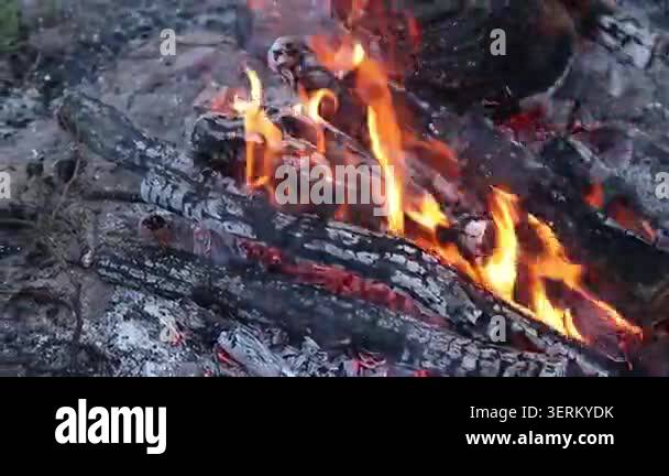 The process of raking coals in a bonfire with a metal shovel. Close-up ...