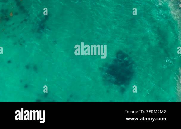 Aerial view of a tropical sandy beach on Saint Martin island in the ...