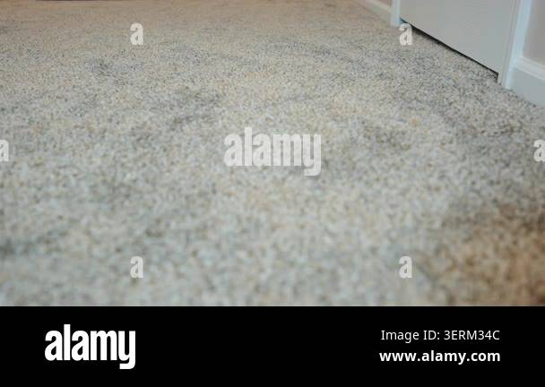 Gray carpet flooring installed inside modern residential home. move ...