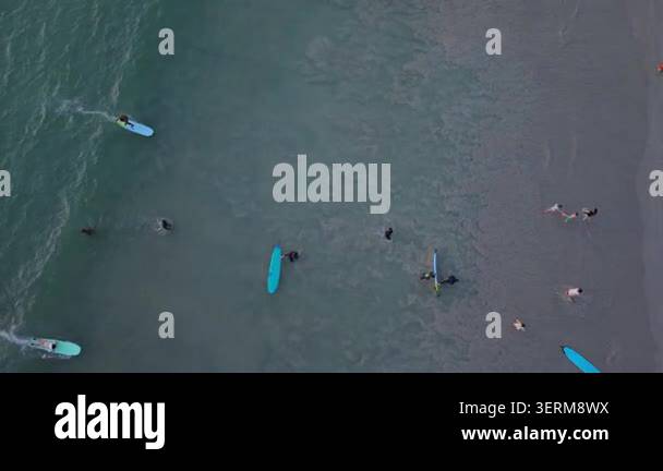 Aerial view of surfers on blue boards riding waves at a beach, with ...