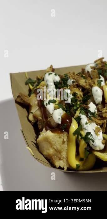 Gourmet loaded french fries topped with multiple sauces, fried onions ...