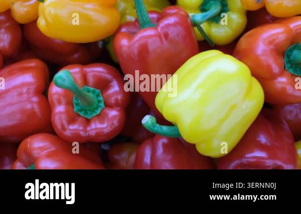 A fresh colorful pepper close-up, natural background and texture Stock ...