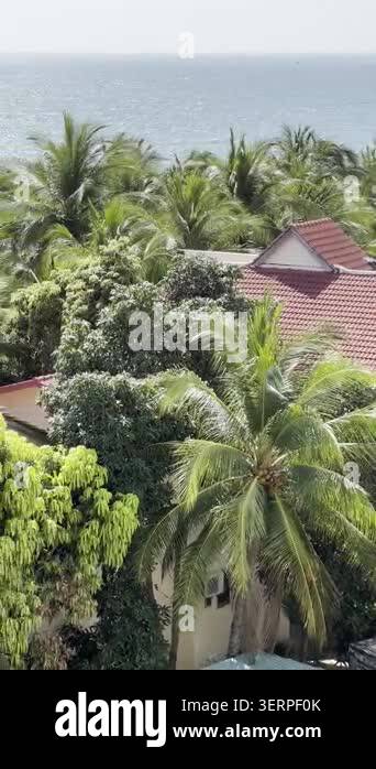 Scenic panoramic view of a tropical coastal resort in Vietnam. Lush ...