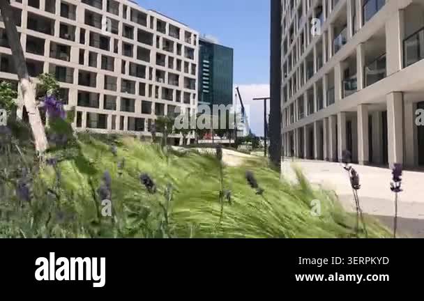 People walk past green grass and lavender flowers near modern buildings ...