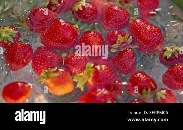 Fresh ripe strawberries rotating in crystal-clear ice water inside ...