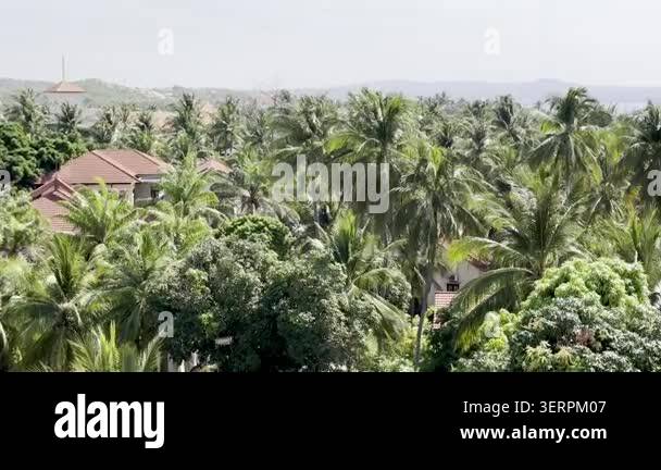 Scenic panoramic view of a tropical coastal resort in Vietnam. Lush ...