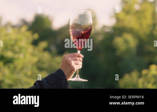 Woman swirls red wine before evaluating its quality. Concept of ...
