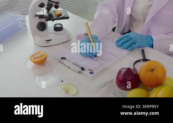 Female food scientist in lab coat looking through microscope, analyzing ...