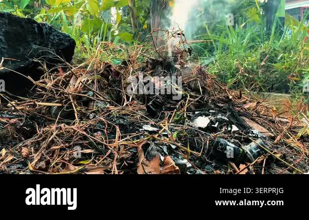 Thin smoke rises from a pile of burning dry leaves and organic yard ...