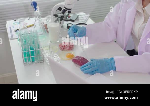 Close-up of food scientist using tweezers to examine raw minced pork in ...