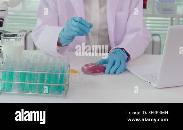 Close-up of food scientist using tweezers to examine raw minced pork in ...