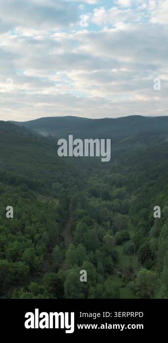 Dense forests with every color of green, protected natural parks of the ...