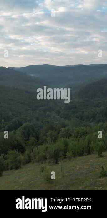 Deep Greenery Valley, every color of green in nature, our green ...
