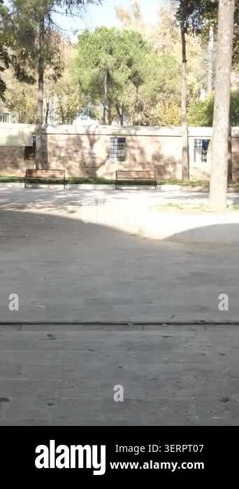 Side shot of Muslim young man walking by the fountain in mosque garden ...
