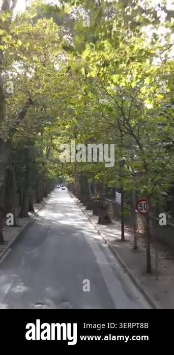 Aerial view drone shot tree road city car traffic, the road through the ...