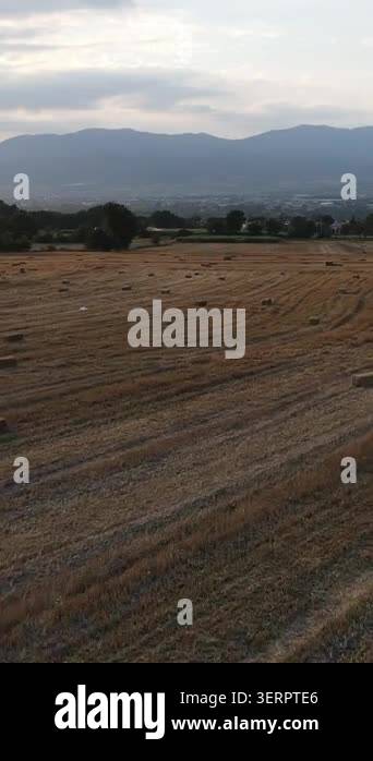 Harvest time in agriculture with agricultural equipment in rural areas ...