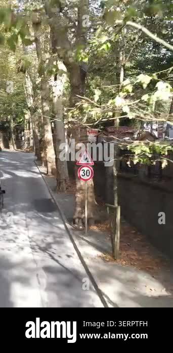 Aerial view drone shot tree road city car traffic, the road through the ...