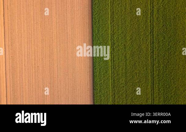 Top view drone shot of field split screen. Aerial footage of ...