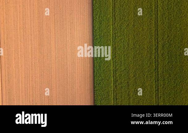 Flying over a divided agricultural field. Drone panorama with a ...