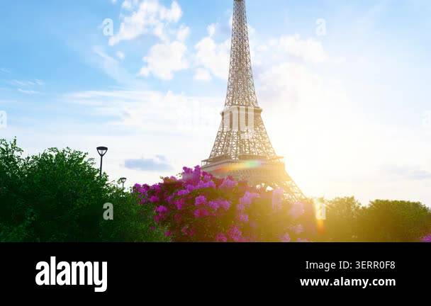 The Eiffel Tower, a French landmark Stock Video Footage - Alamy