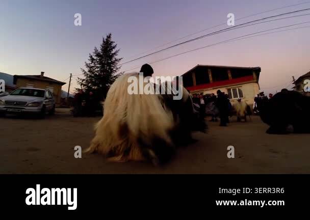 01-01-2025 - Krupnik, Bulgaria: Kukeri performers in traditional fur ...
