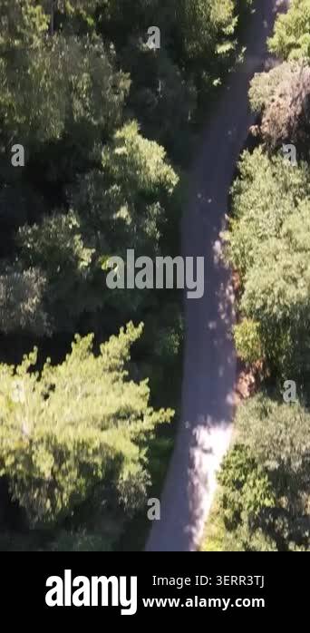Aerial view of asphalt road with green forest on both sides, the drone ...