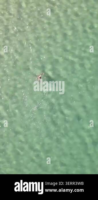 Aerial drone view shot of man in bright black swimming shorts on water ...
