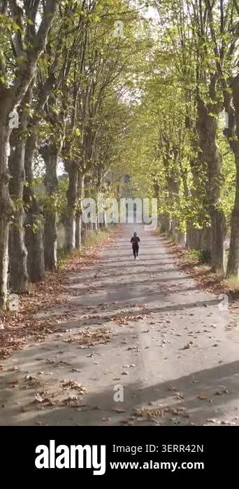 A man athlete runs in an autumn park on a footpath with foliage aerial ...