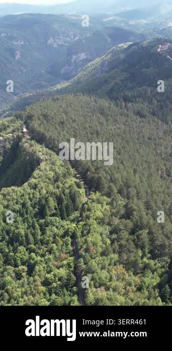 Aerial drone view of Bosnia Trebevic Mountain, forest view of mountain ...