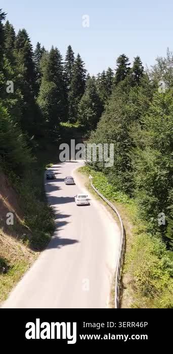 Aerial view of car traveling middle of the forest, drone footage of ...