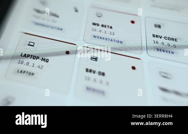 Network management interface displaying the status and IP addresses of ...